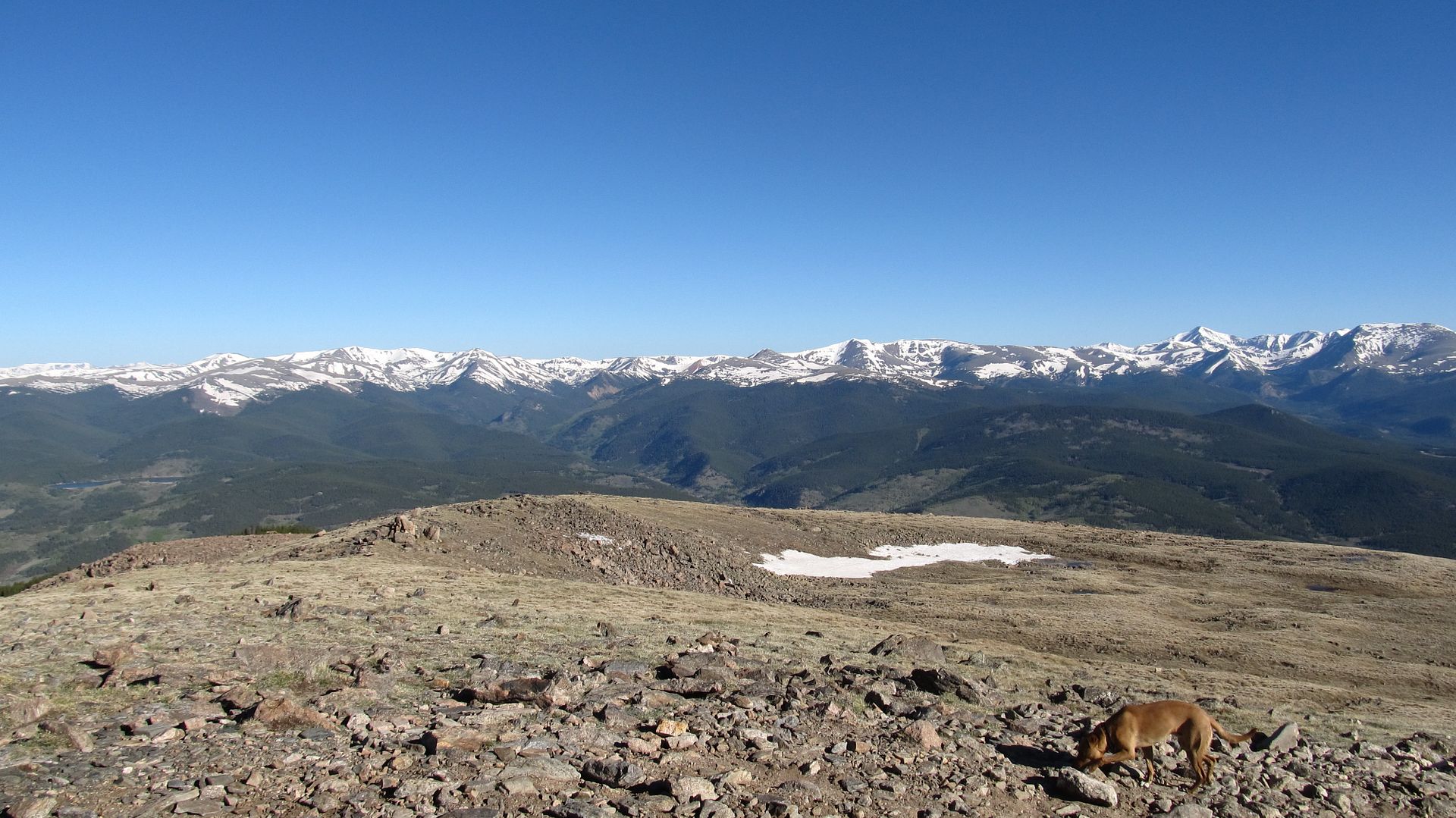 Red Cone/Webster Pass