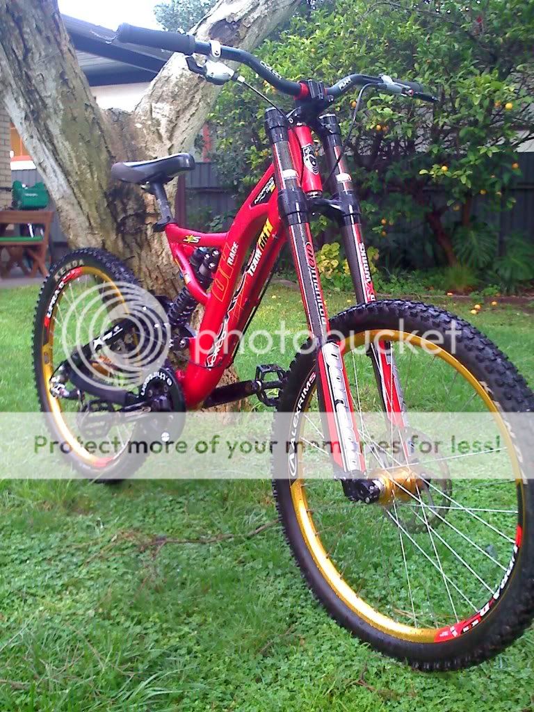 My DH collection updated | Rotorburn